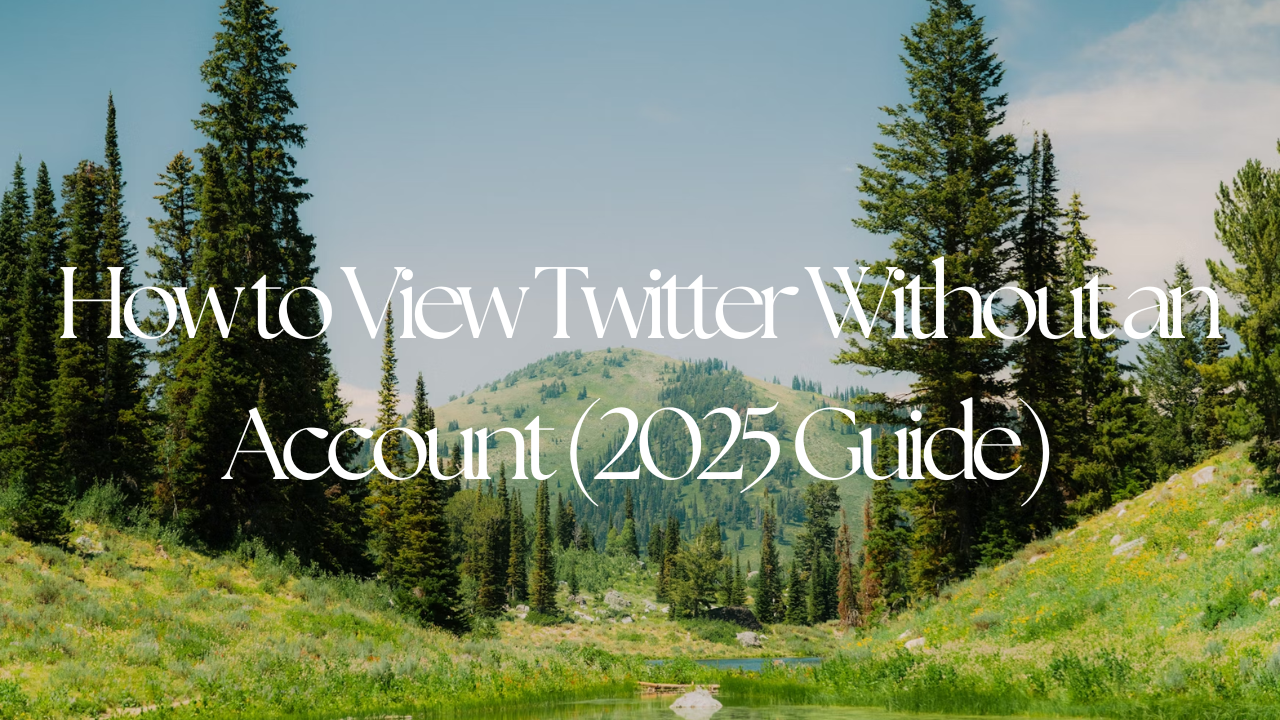 How to View Twitter Without an Account (2025 Guide) | Blog